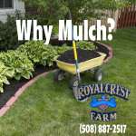 Why mulch? – Royal Crest Farm