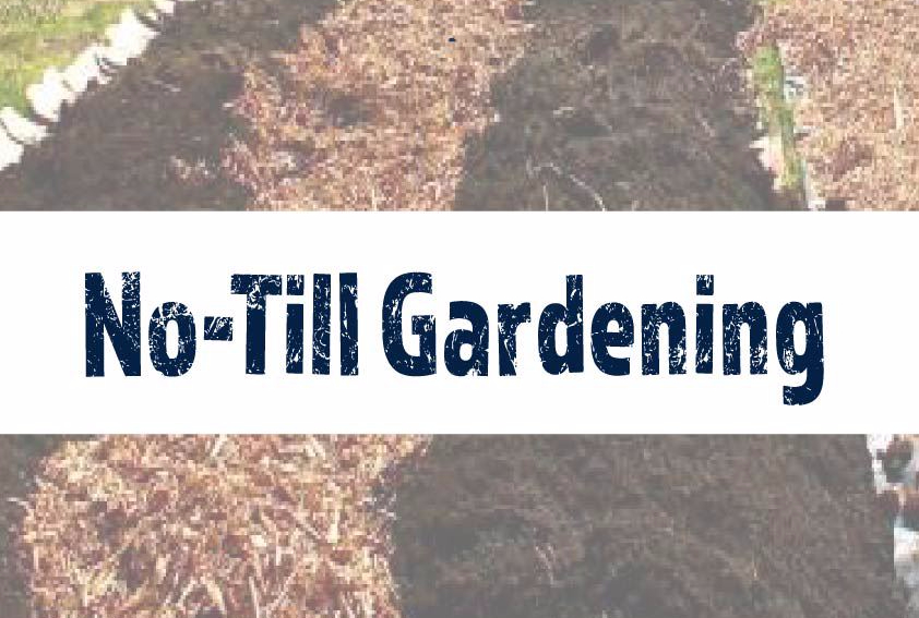 The ‘No-till’ Method of Gardening – Royal Crest Farm